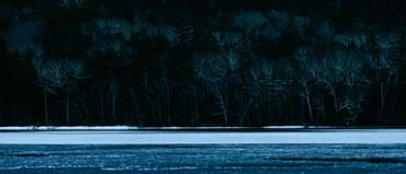 フォトギャラリー